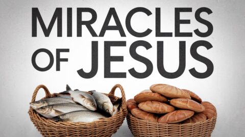 Jesus' Miracles in the Bible: Power, Healing & Divine Proof