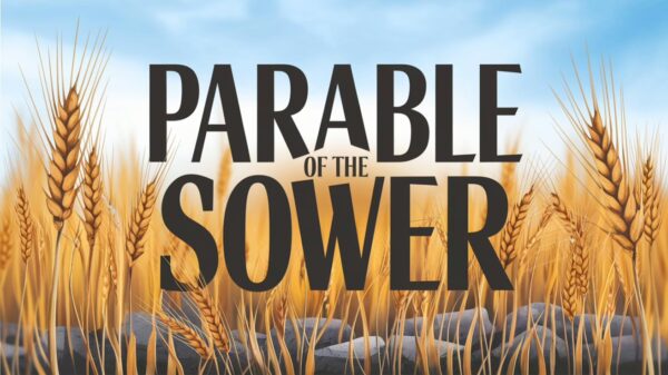 The Parable of the Sower: A Complete Bible Study