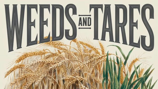 The Parable of the Weeds: A Bible Study